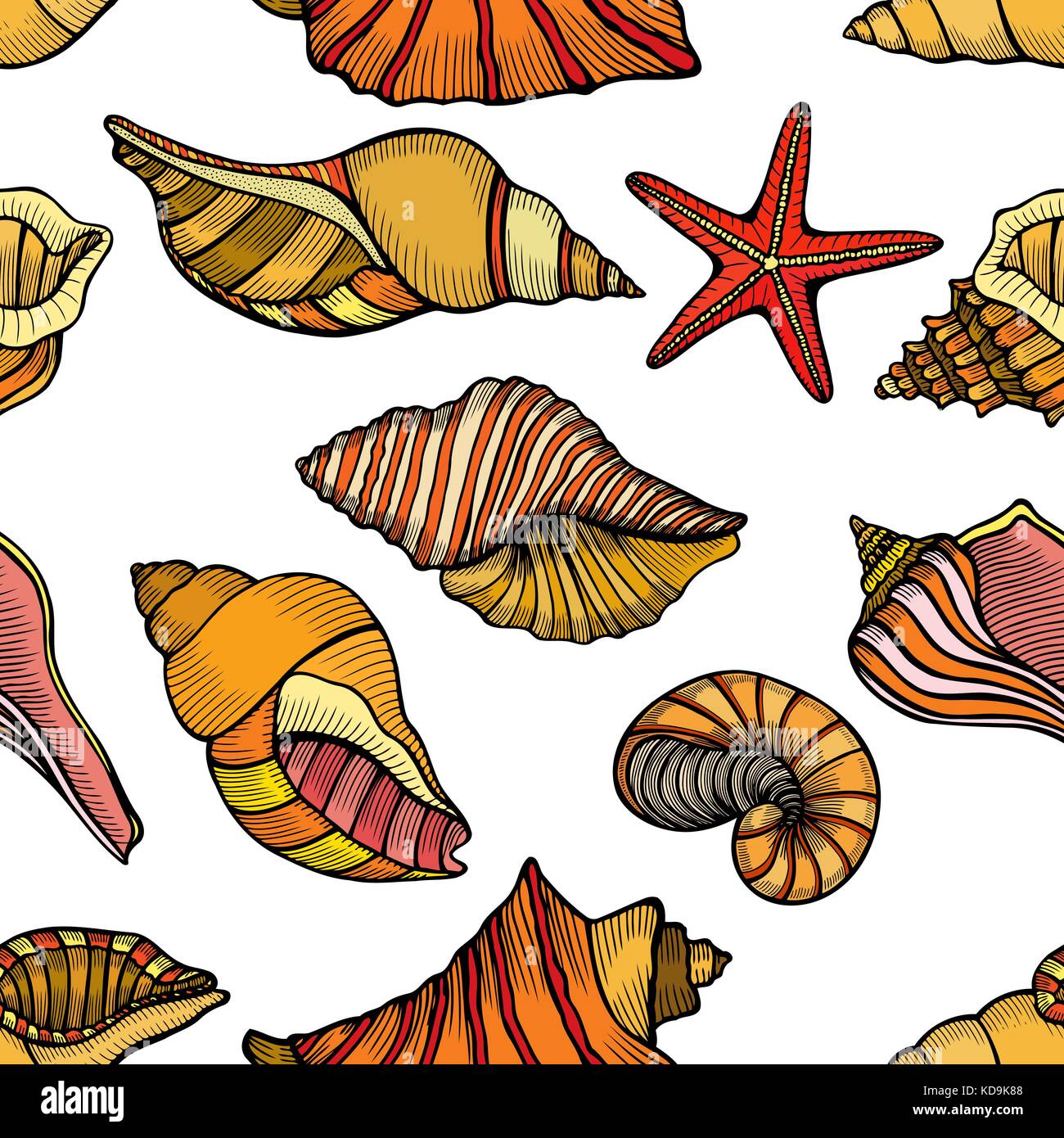 Seamless Sea Shells pattern. Vector illustration background Stock ...