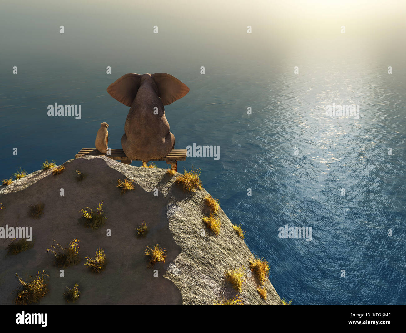 Elephant sitting back hi-res stock photography and images - Alamy