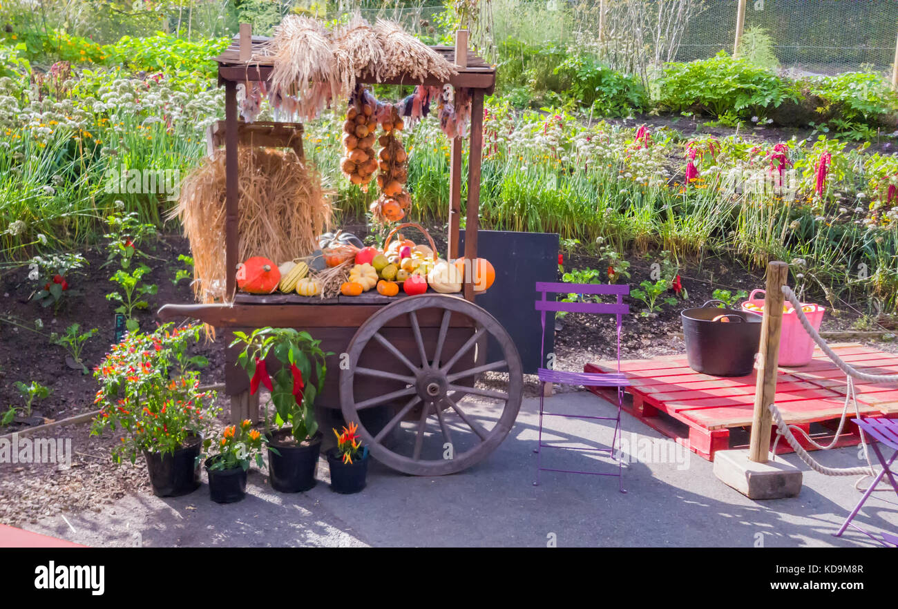 Wheelbarrow with floral display hi-res stock photography and images - Alamy