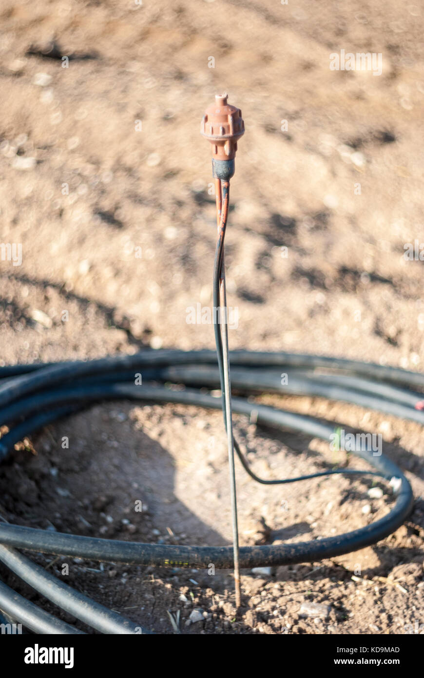 Sprinkler field irrigation system on agricultural land Stock Photo - Alamy