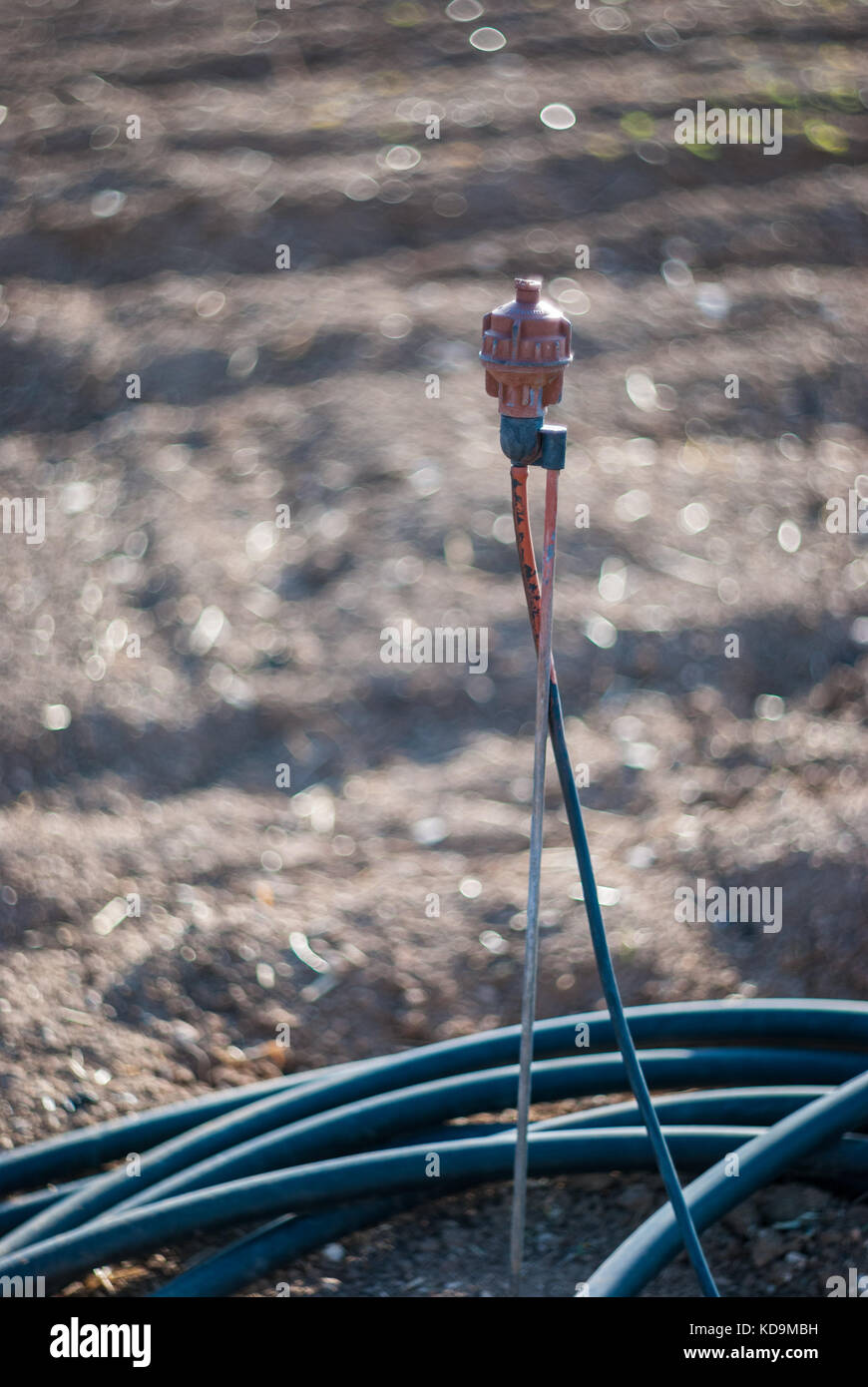 Sprinkler field irrigation system on agricultural land Stock Photo - Alamy