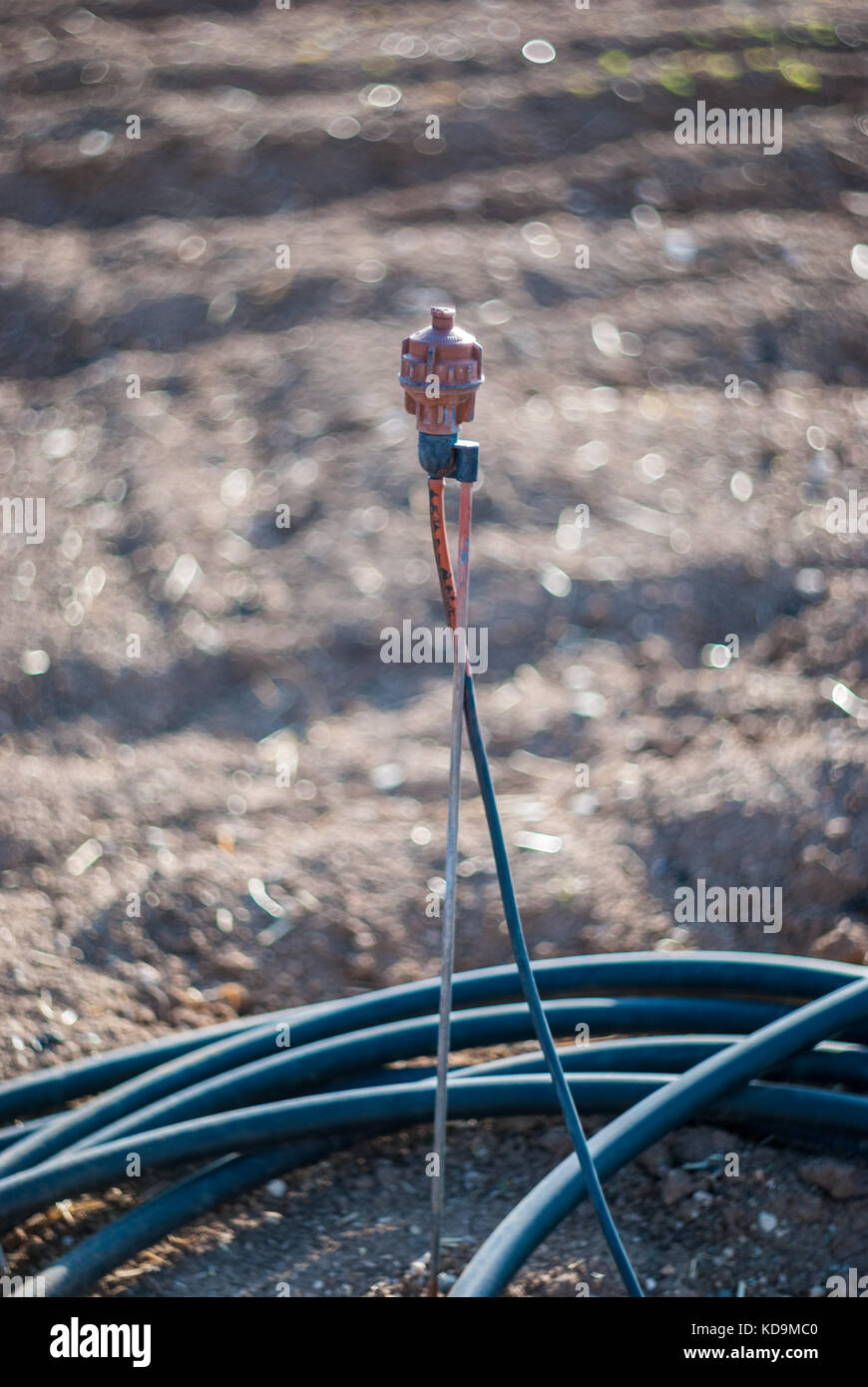 Sprinkler field irrigation system on agricultural land Stock Photo - Alamy