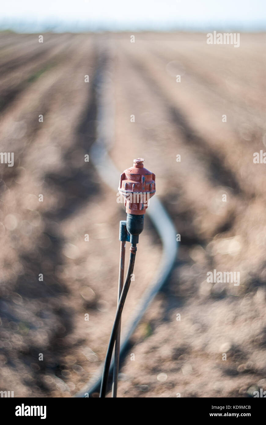 Sprinkler field irrigation system on agricultural land Stock Photo - Alamy