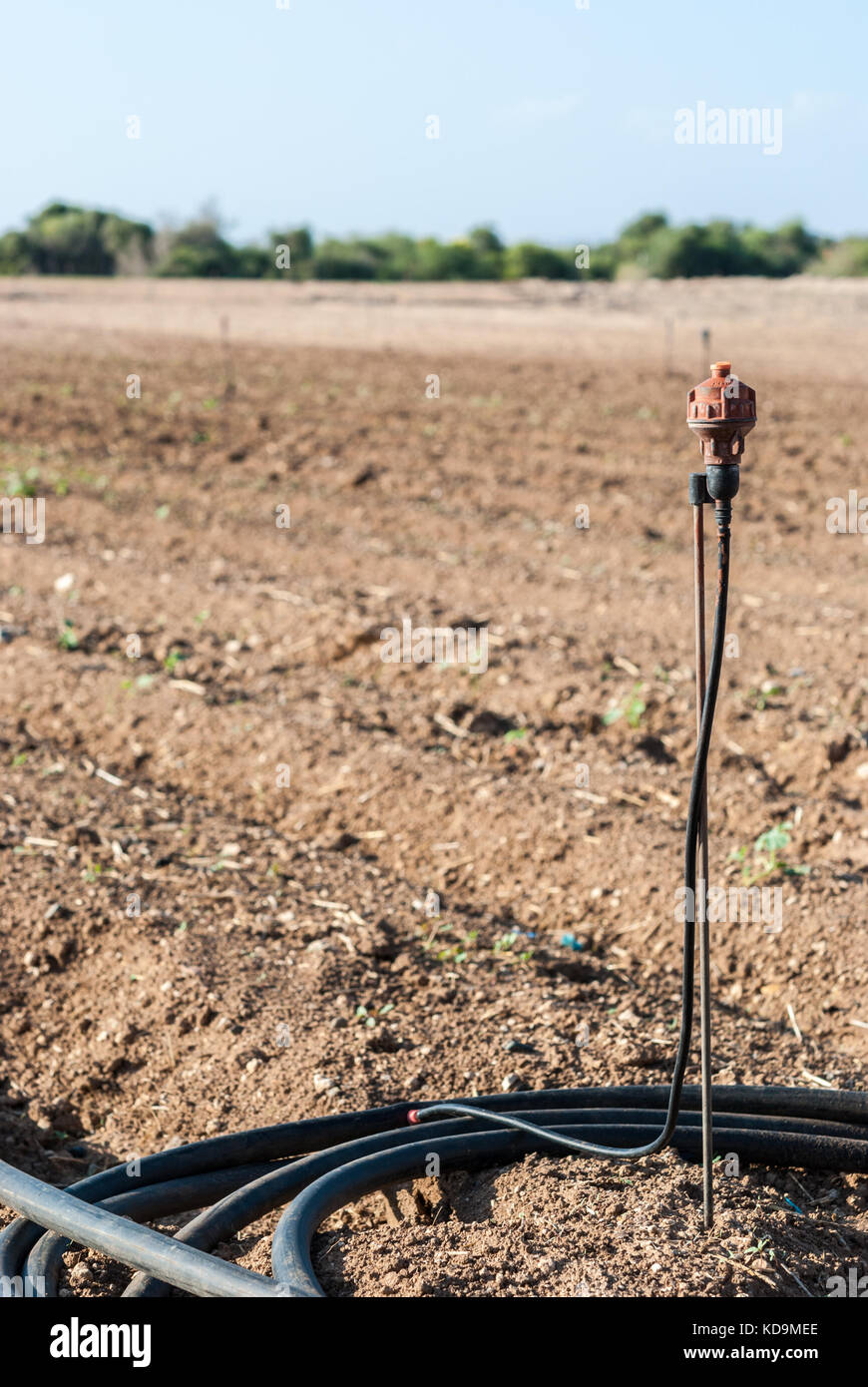 Sprinkler field irrigation system on agricultural land Stock Photo - Alamy
