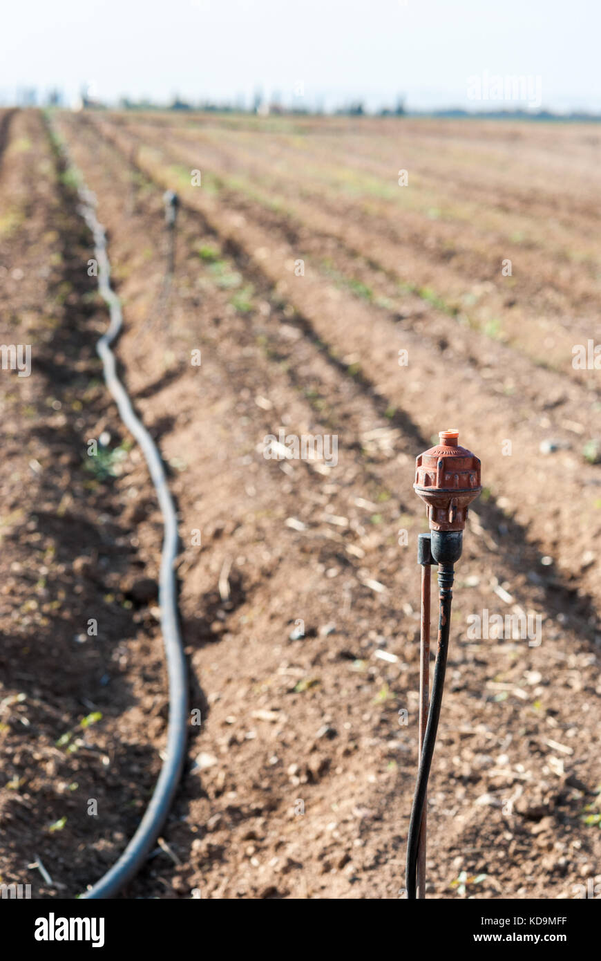 Sprinkler field irrigation system on agricultural land Stock Photo - Alamy