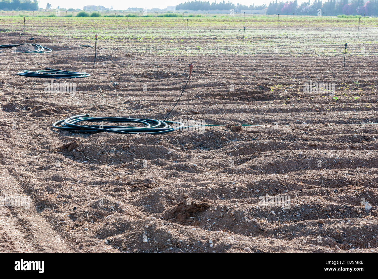 Sprinkler field irrigation system on agricultural land Stock Photo - Alamy