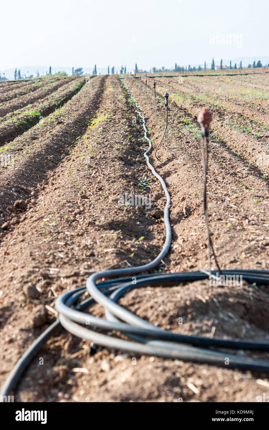 Sprinkler field irrigation system on agricultural land Stock Photo - Alamy