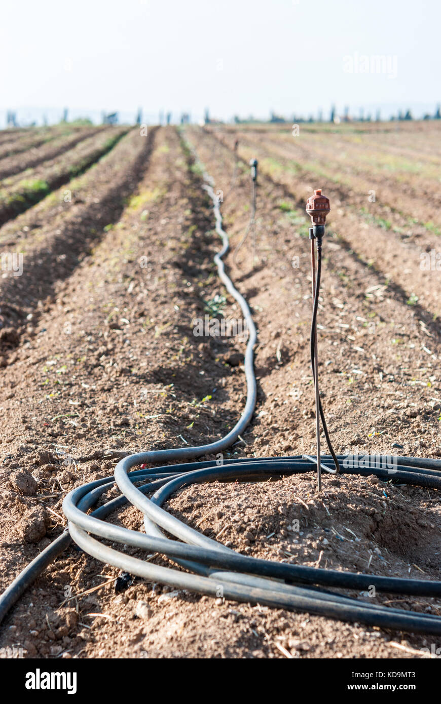 Sprinkler field irrigation system on agricultural land Stock Photo - Alamy
