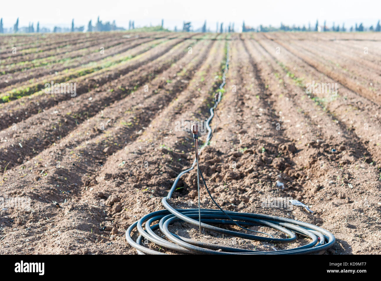 Sprinkler field irrigation system on agricultural land Stock Photo - Alamy