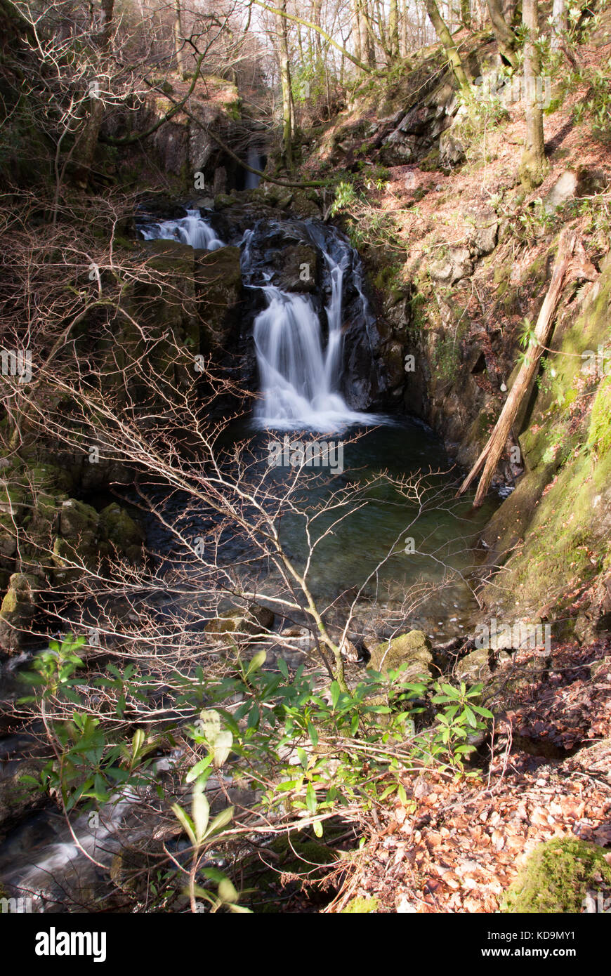 Waterfall in Birk Hagg, above Rydal, Lake District National Park, UK ...