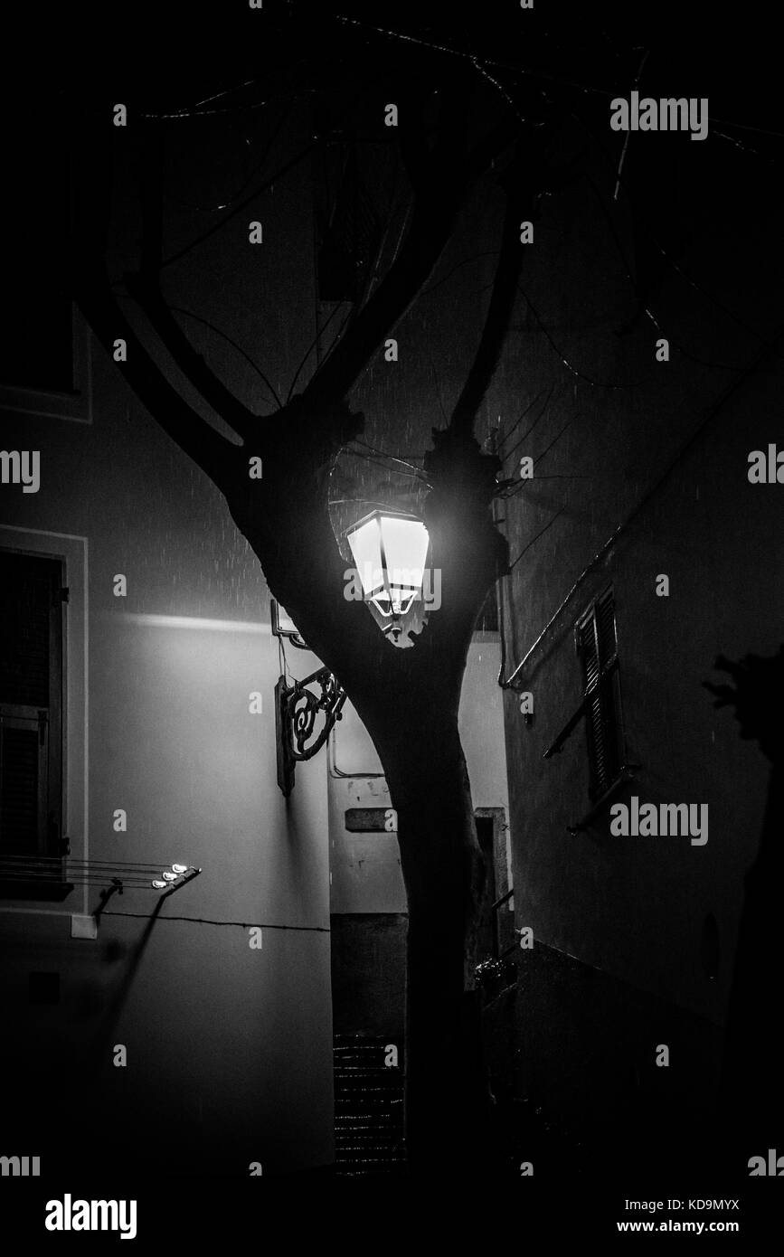 Tree with street lamp Stock Photo - Alamy