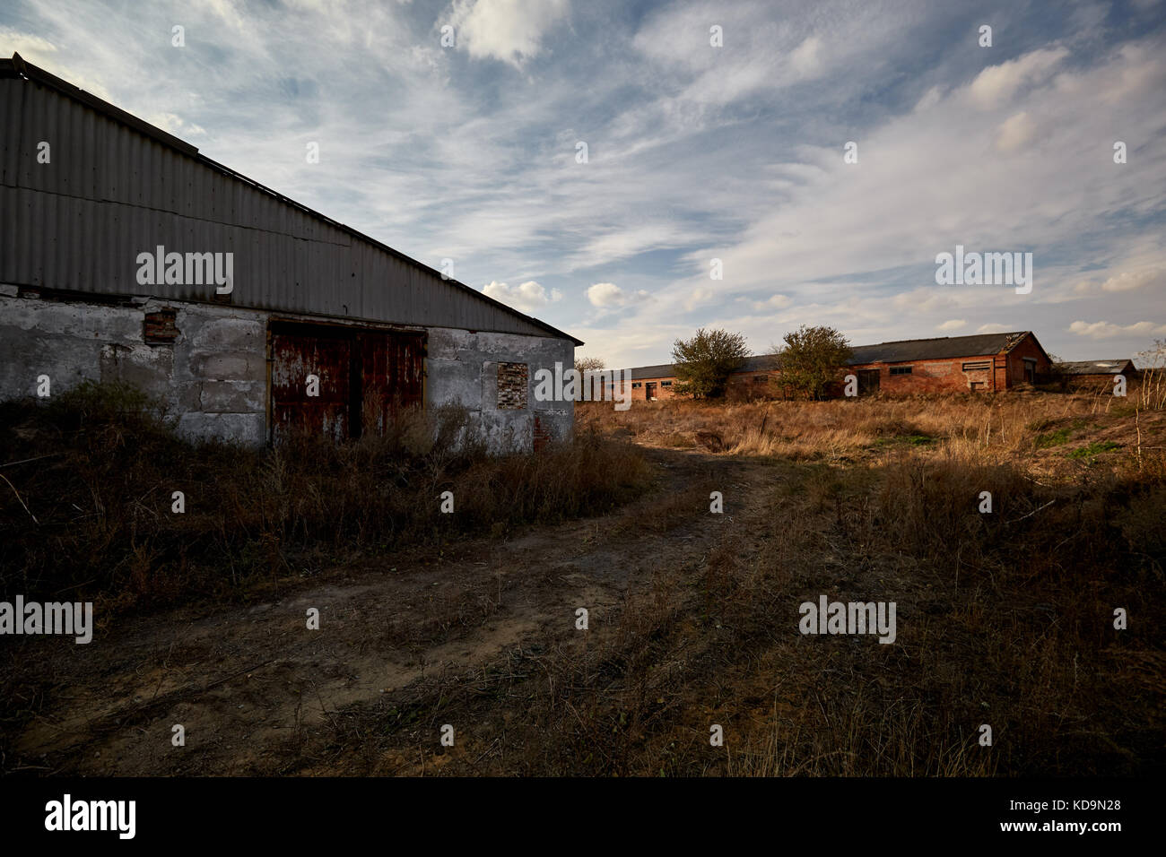 Abandoned farm outside, overgrown with grass, early autumn Stock Photo ...
