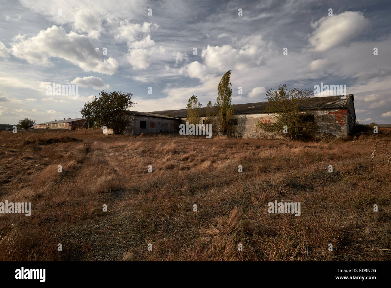 Abandoned farm outside, overgrown with grass, early autumn Stock Photo ...