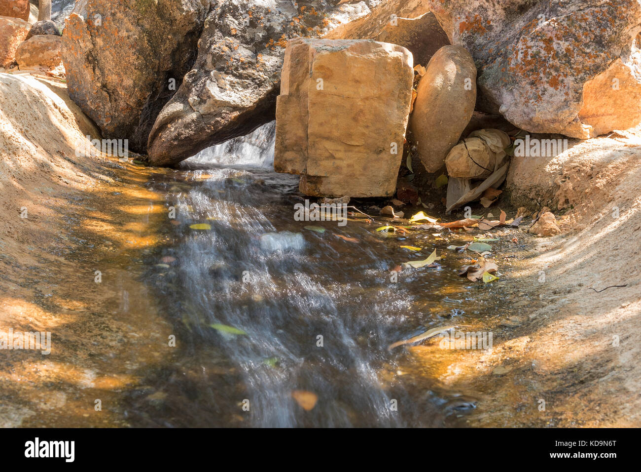 Fluent recover hi-res stock photography and images - Alamy