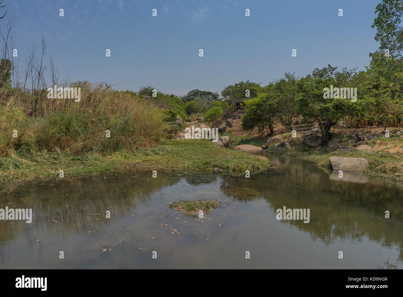 fluent river with rocks and vegetation in Africa. Lubango. Angola Stock ...