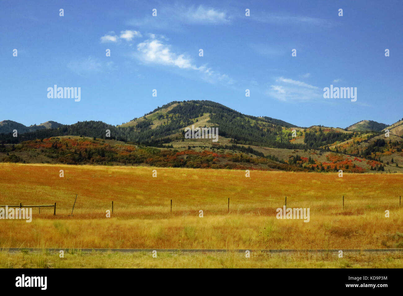 Tree dotted landscape hi-res stock photography and images - Alamy