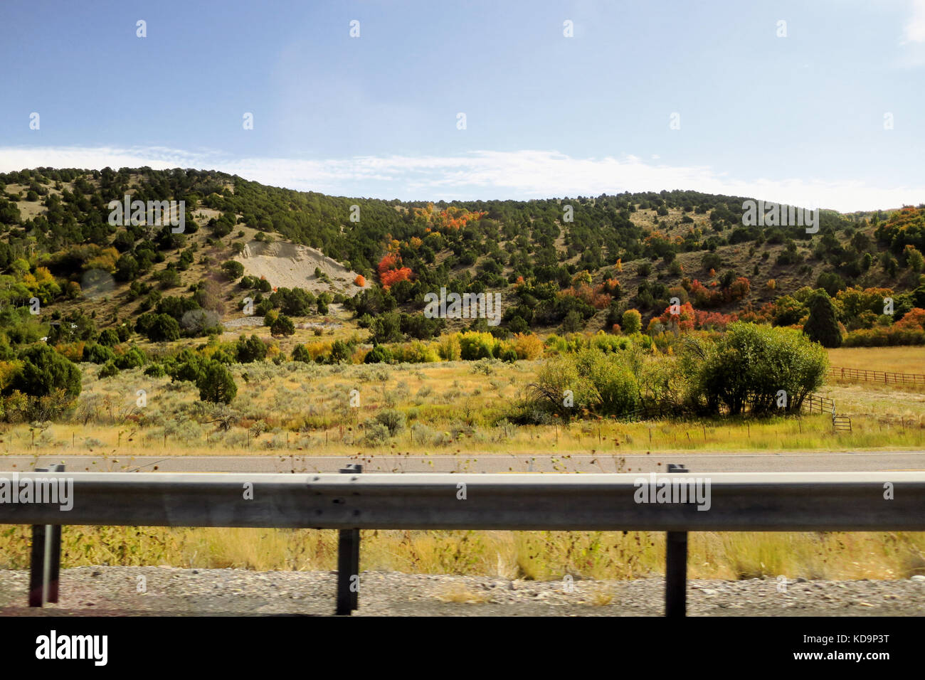 Tree dotted landscape hi-res stock photography and images - Alamy