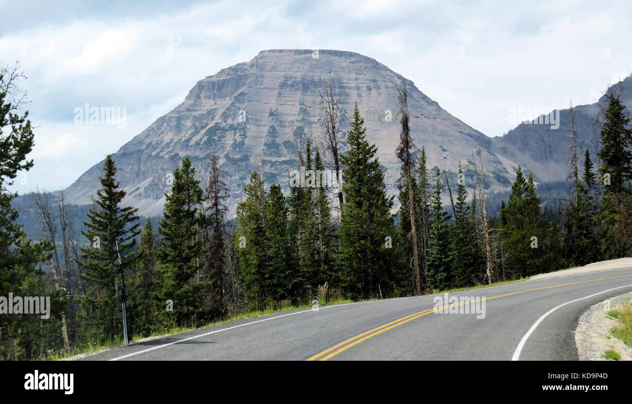 A beautiful young forest in front of an imposing Utah mountain on a ...