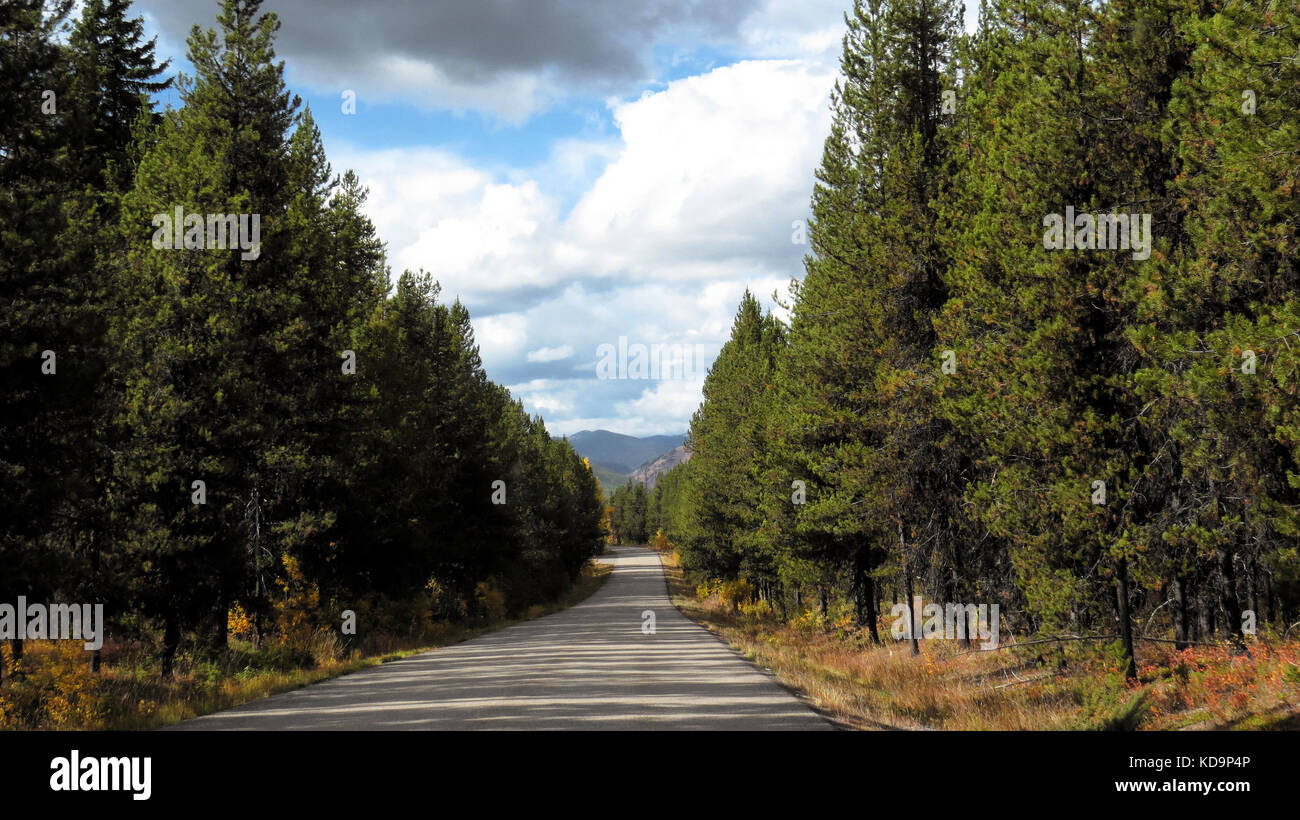 A dusty trail leading through a fall forest in Glacier National Park ...