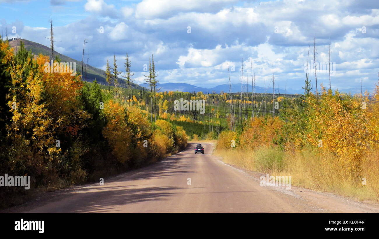 A dusty trail leading through a fall forest in Glacier National Park ...