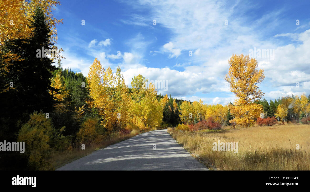 A curvy dusty trail leading through a fall forest in Glacier National ...