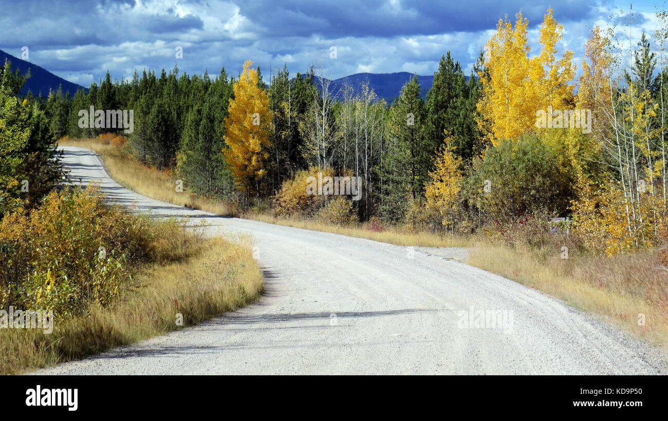 A curvy dusty trail leading through a fall forest in Glacier National ...