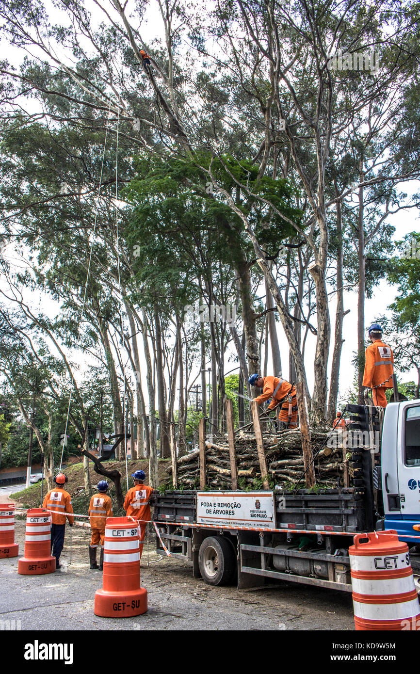 City municipality worker hi-res stock photography and images - Alamy