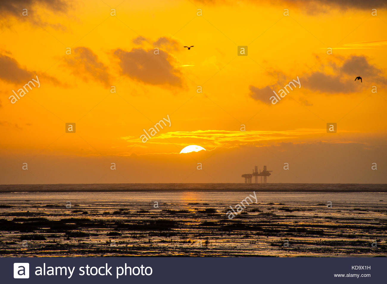 Hamilton Platform High Resolution Stock Photography and Images - Alamy