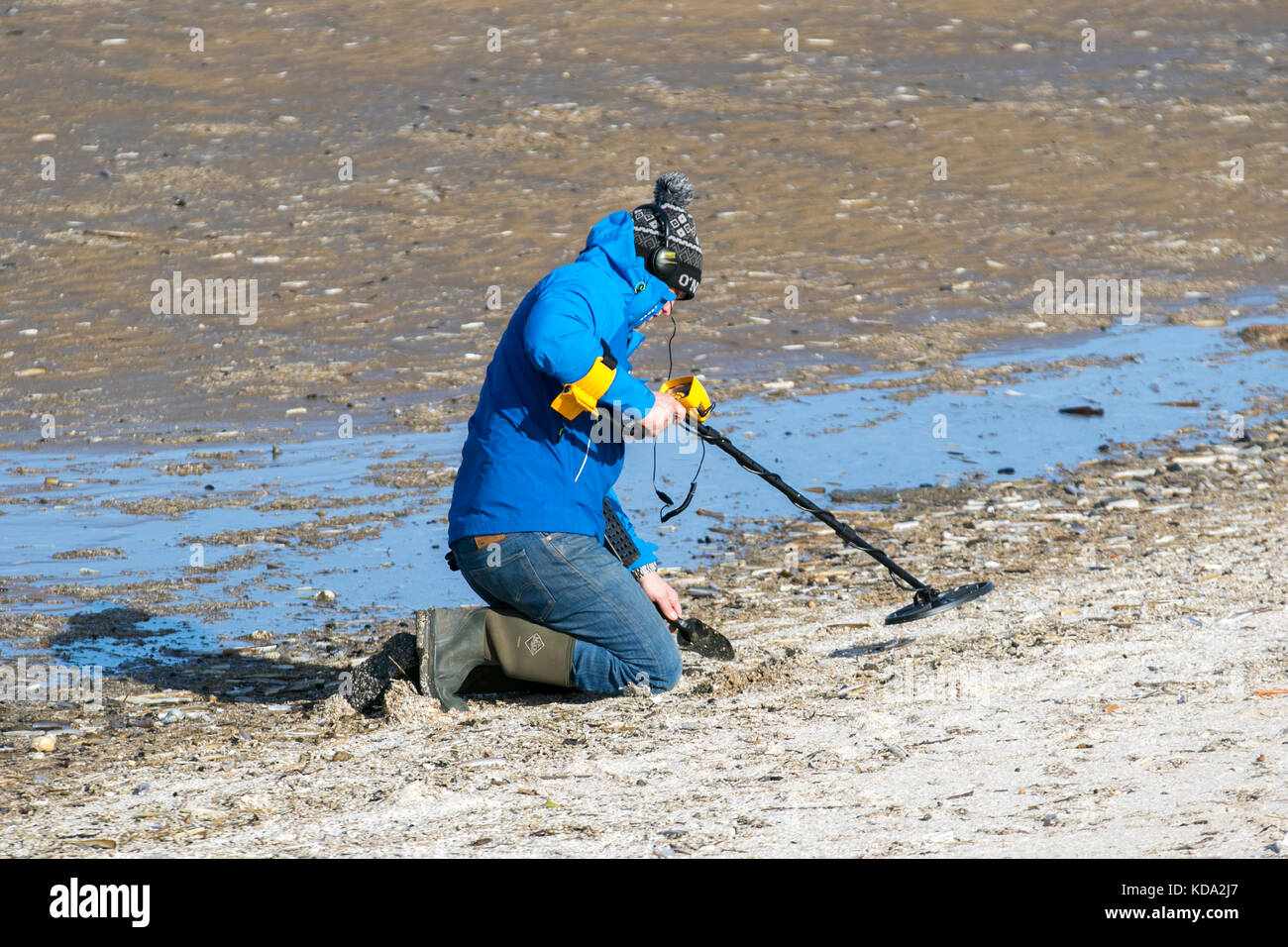 Beach metal detectorists hi-res stock photography and images - Alamy