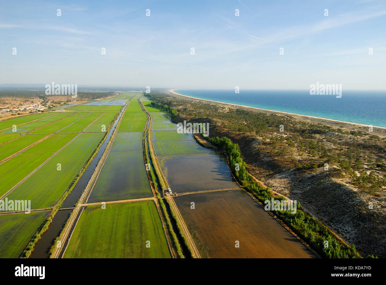 Aerial view of rice fields. Comporta, Alentejo, Portugal Stock Photo ...