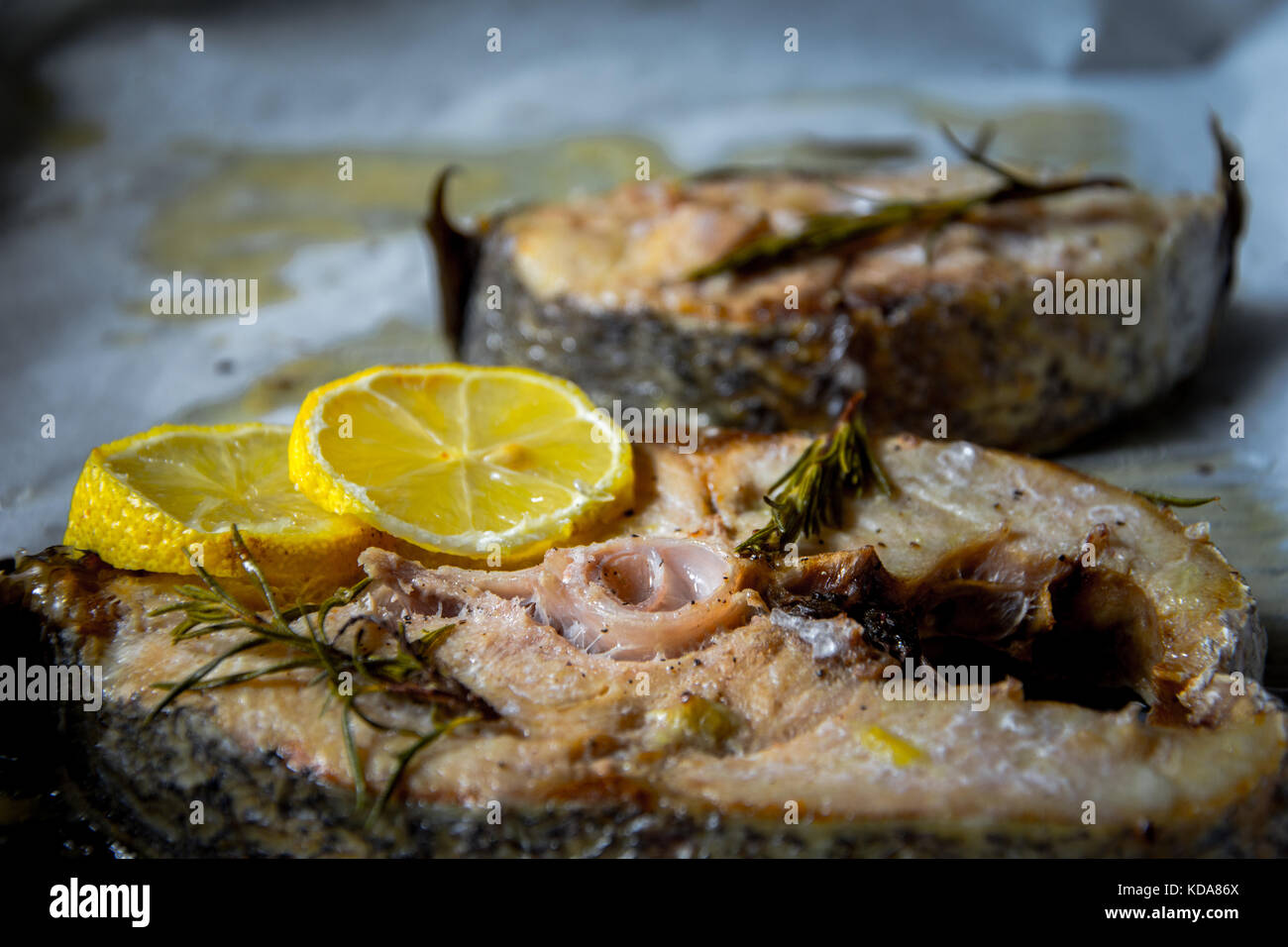 Yellowtail amberjack fish hi-res stock photography and images - Alamy