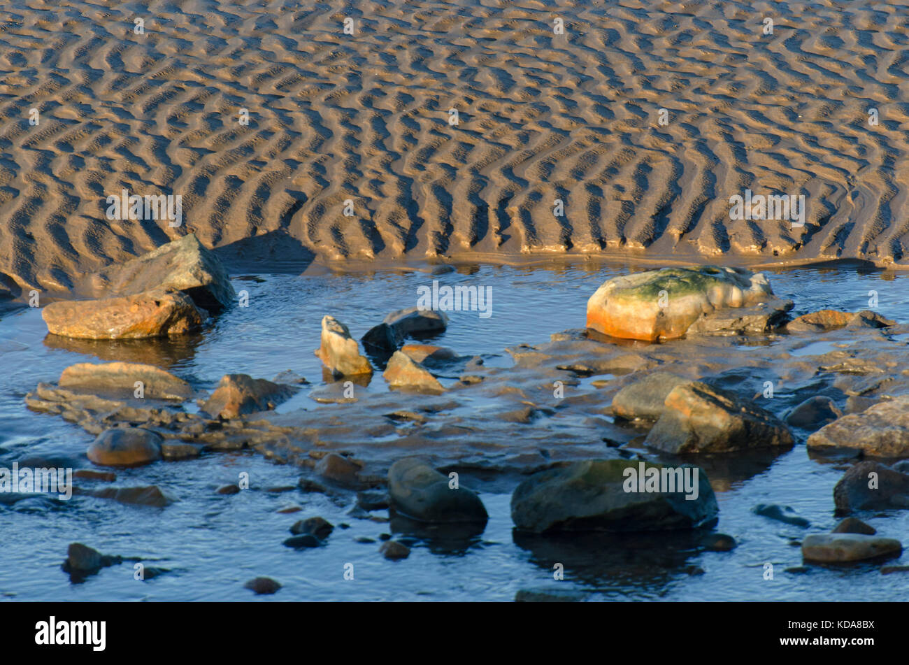 Tidal ripples in the sand hi-res stock photography and images - Alamy