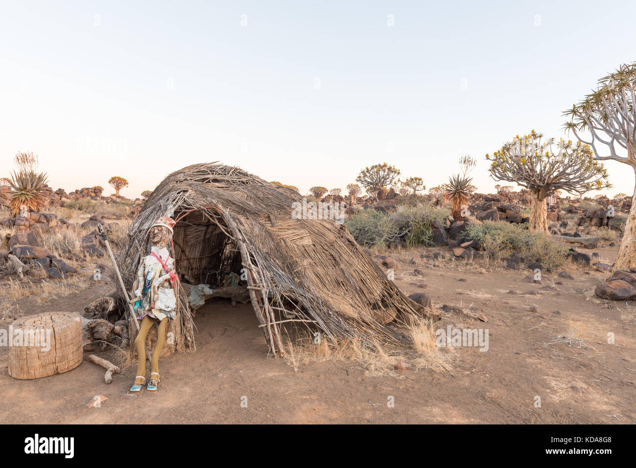Garas quiver tree park hi-res stock photography and images - Alamy