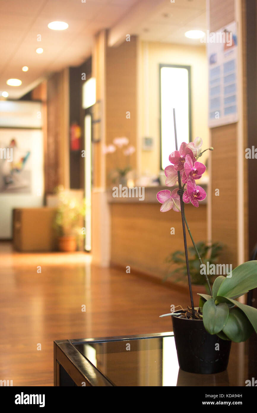 Hospital clinic health center reception waiting room, chairs, coffee ...