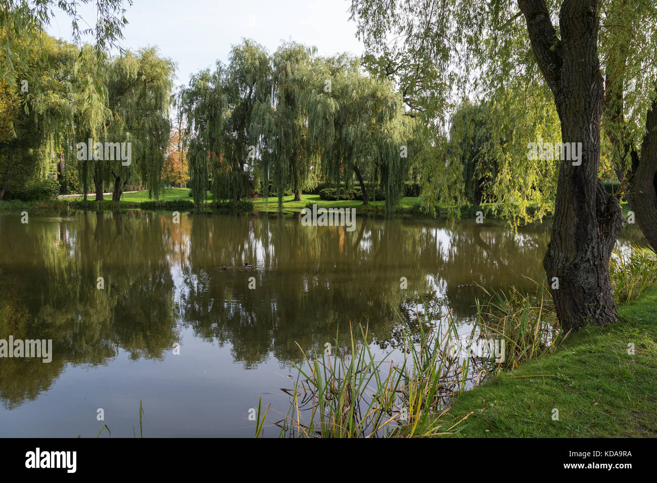 Gdansk park hi-res stock photography and images - Alamy