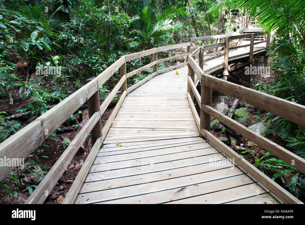 Jindalba Boardwalk. 2017. Daintree National Park. Cow Bay. Queensland ...