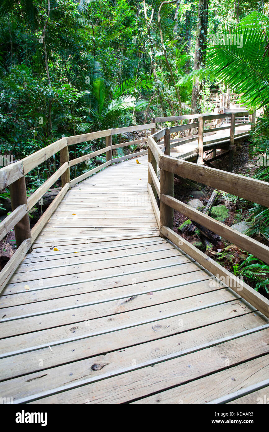 Jindalba Boardwalk. 2017. Daintree National Park. Cow Bay. Queensland ...