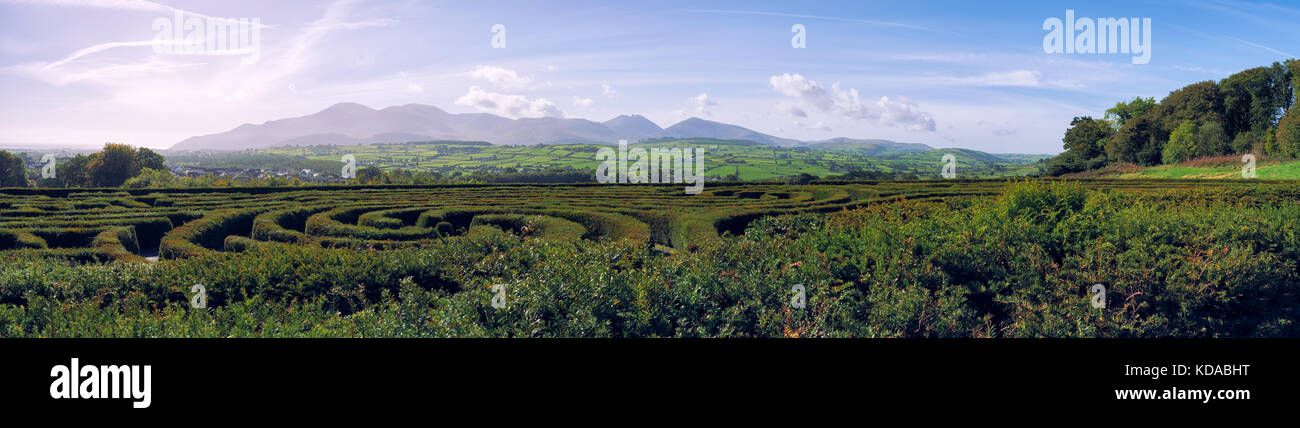 hedge maze against blue sky,Northern Ireland Stock Photo - Alamy