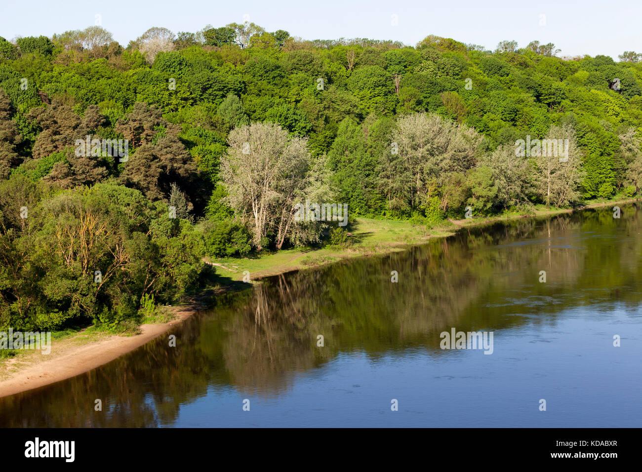 river with mixed forest Stock Photo - Alamy