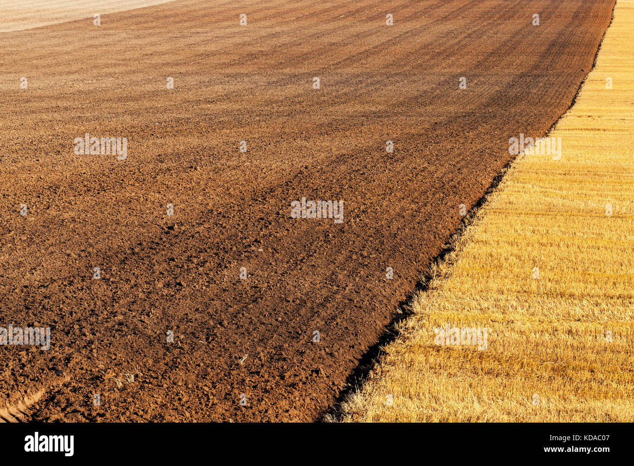Half and half wheat field hi-res stock photography and images - Alamy