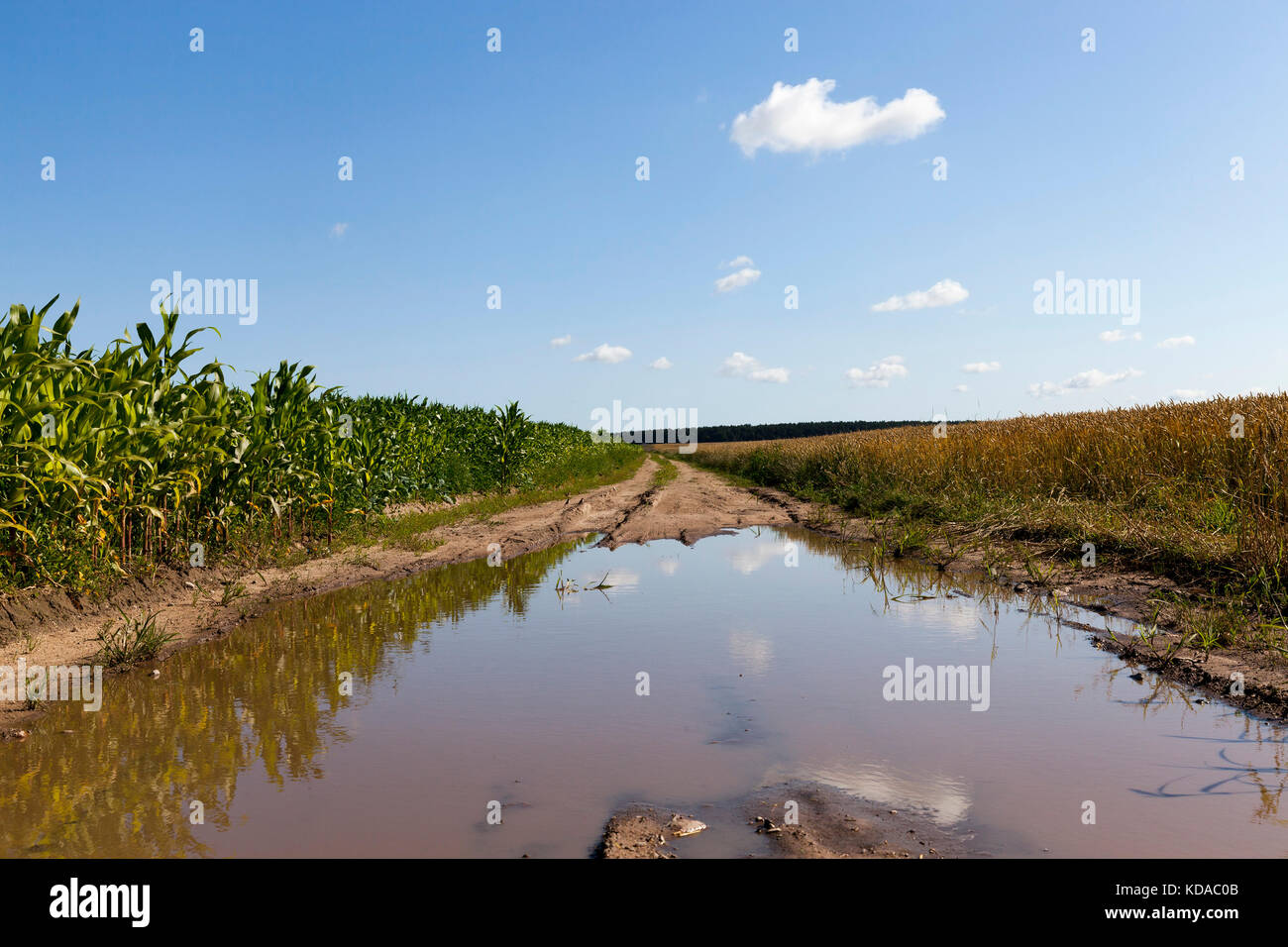 Dirty rural road Stock Photo - Alamy