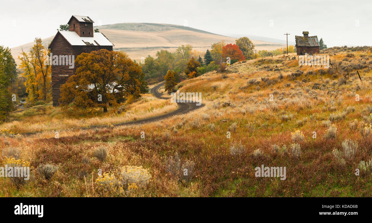 2010 panoramic image, panorama of abandoned grain mill, old barn, by ...