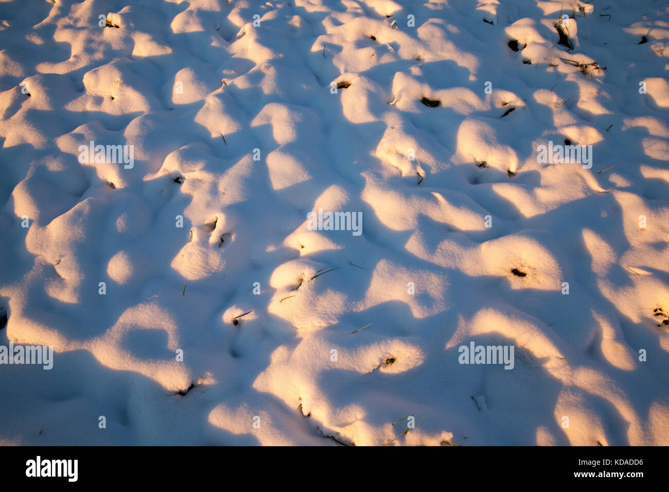 Snow drifts, in winter Stock Photo - Alamy