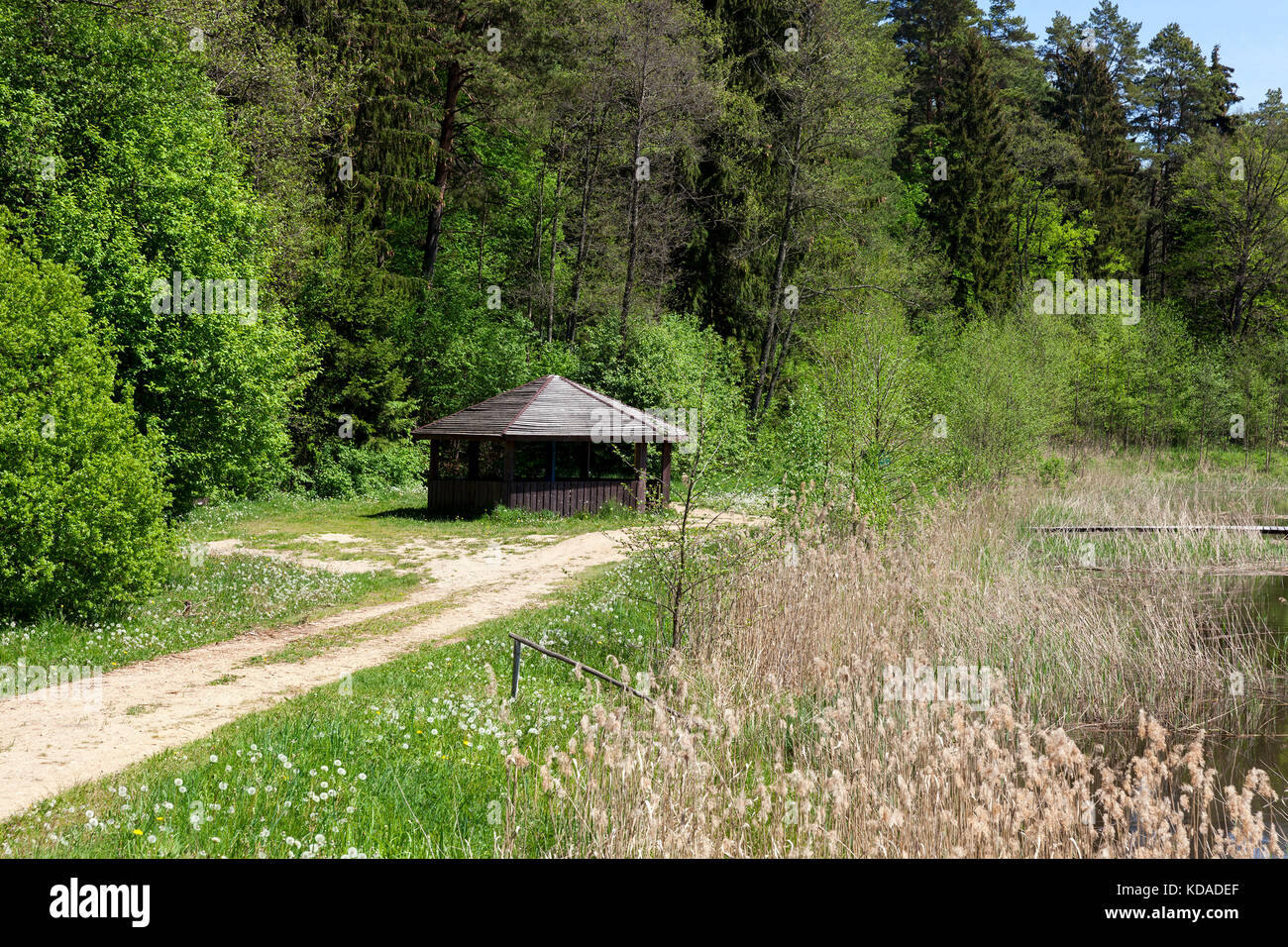 Arbor by forest hi-res stock photography and images - Alamy