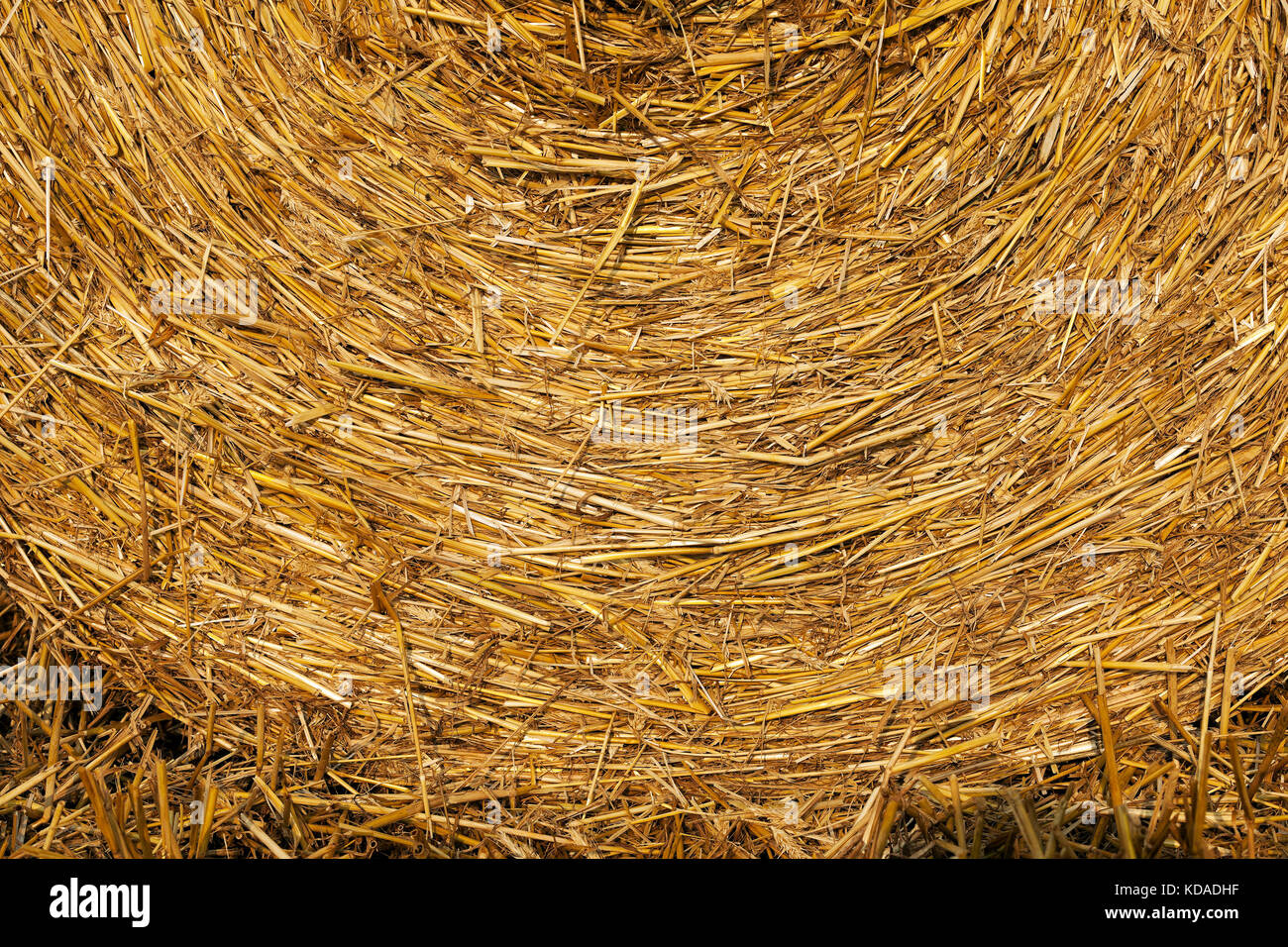 stack of straw in the field Stock Photo - Alamy