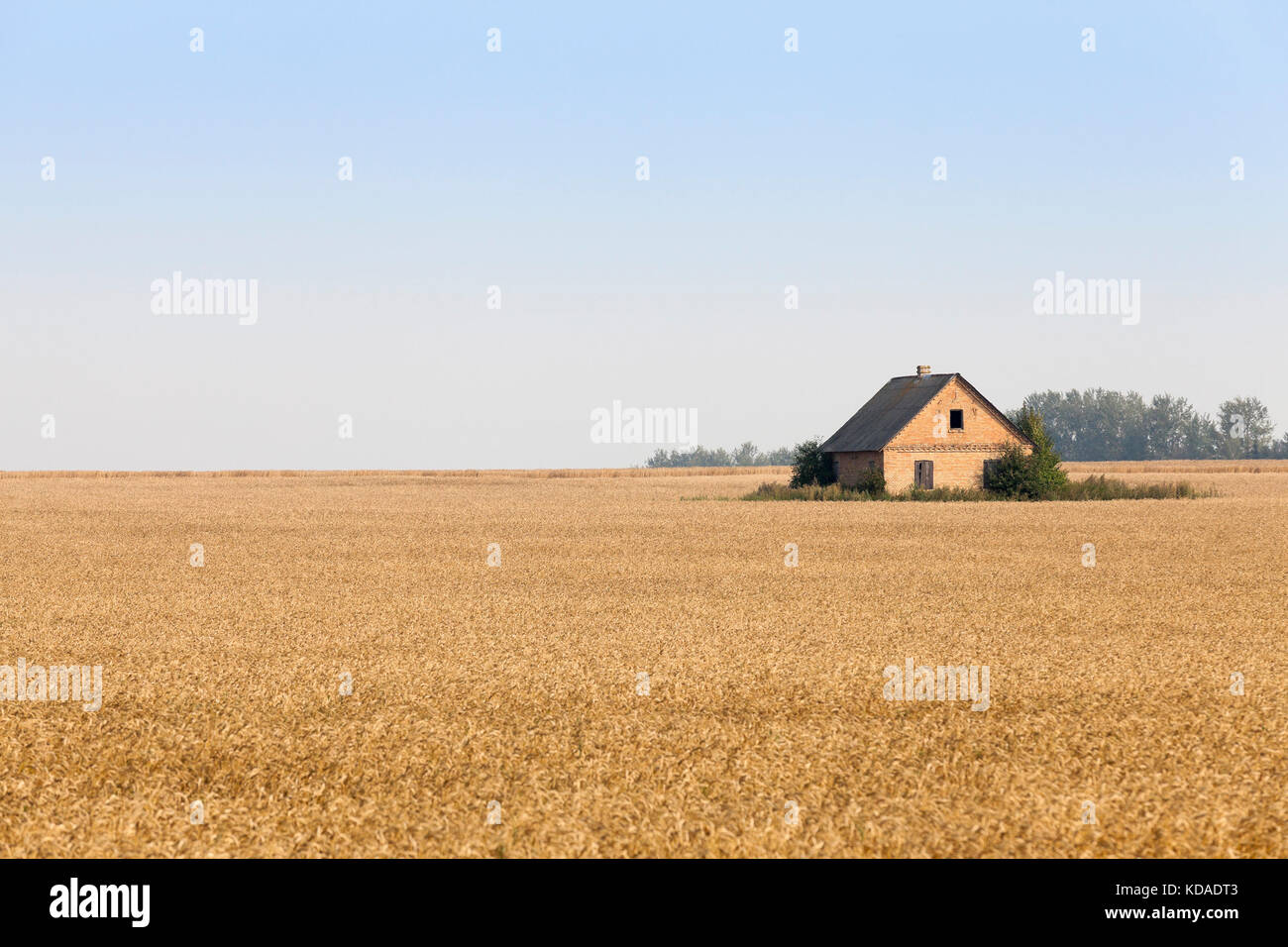 The house is in the field Stock Photo - Alamy