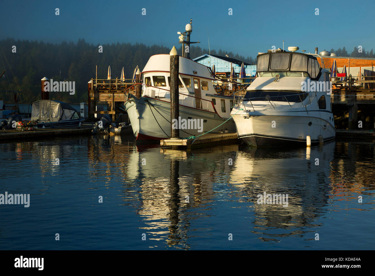 Marina, Florence, Oregon Stock Photo - Alamy