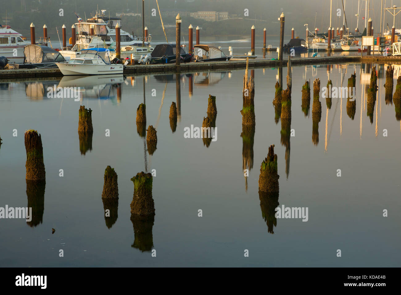 Marina, Florence, Oregon Stock Photo - Alamy