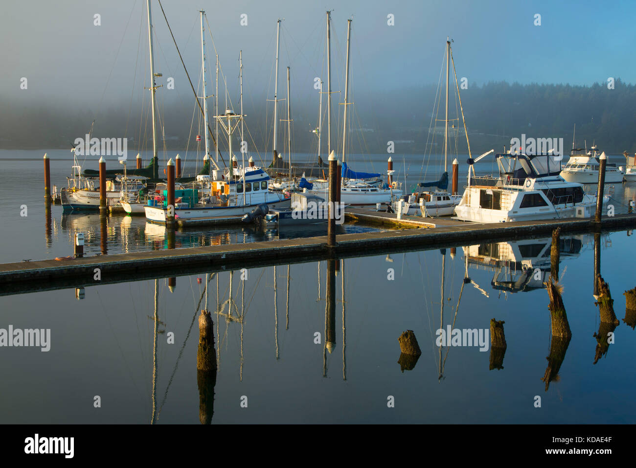 Marina, Florence, Oregon Stock Photo - Alamy