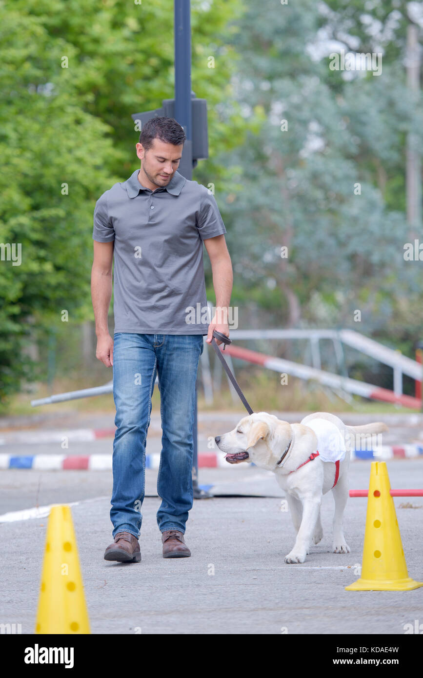 Professional guide dog trainer hi-res stock photography and images - Alamy
